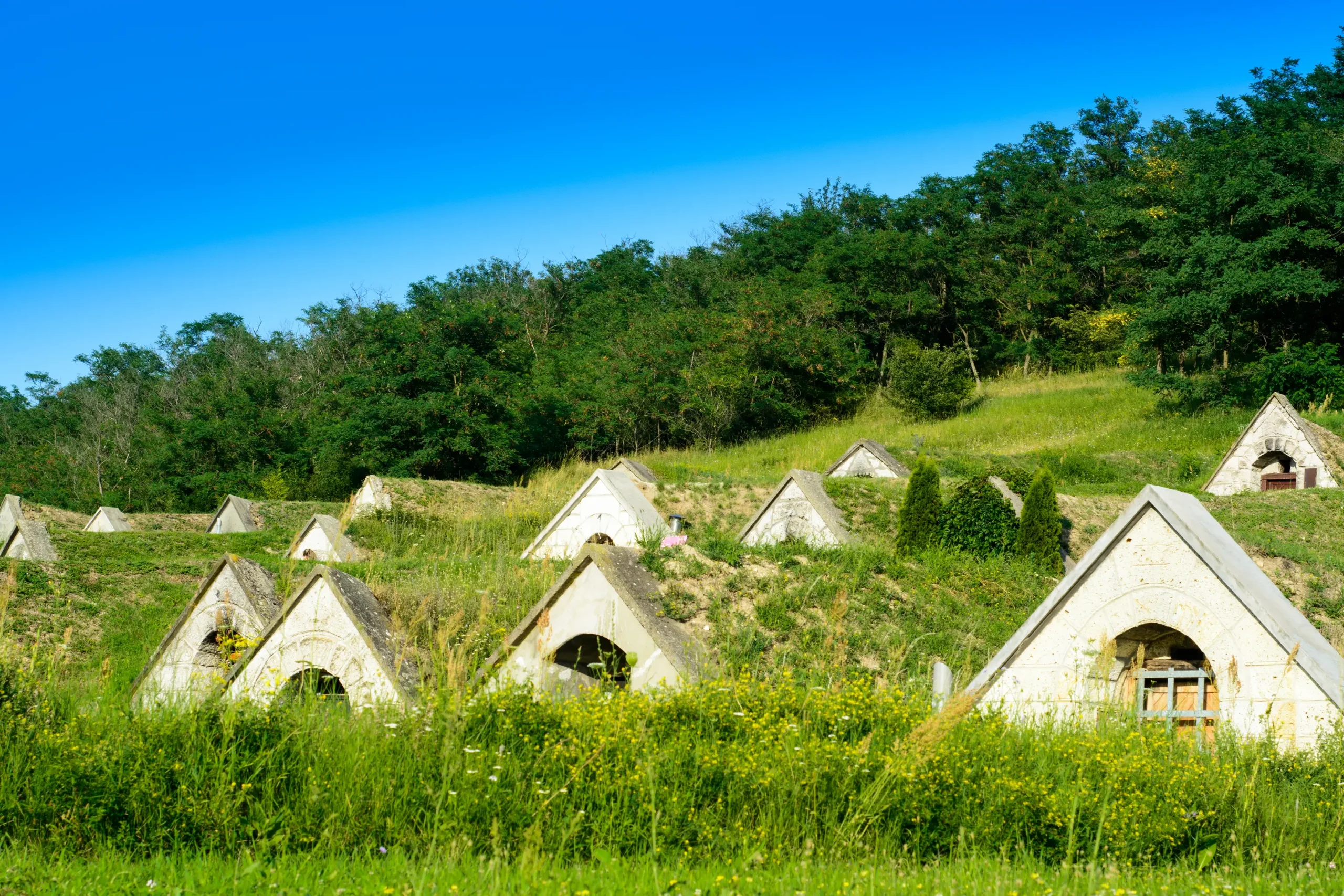 Tokaj Wine Region - Ormina Tours